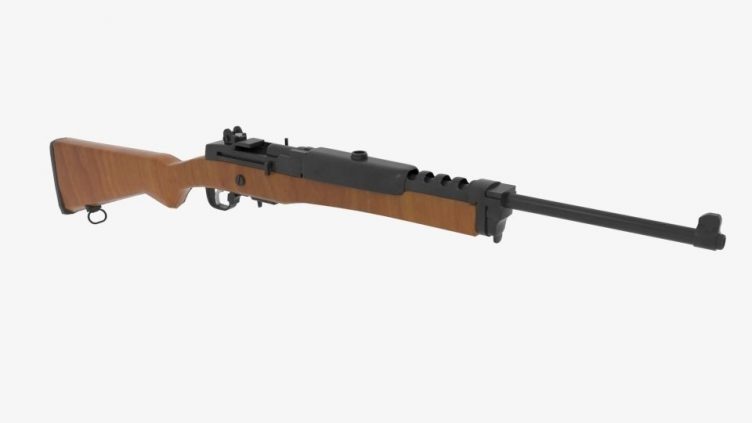 Best Scopes for Mini 14 Ranch Rifle – BBBReview
